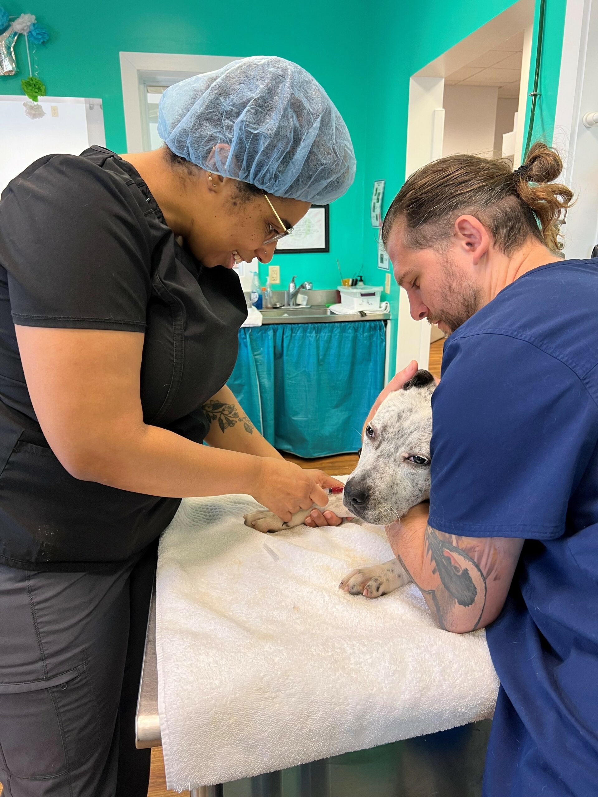 Celebrating Black history-makers in animal welfare: Dr. Brit'nee ...