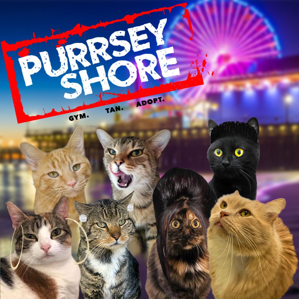 We Were Adopted: June 21 - 27, 2021 - Richmond SPCA