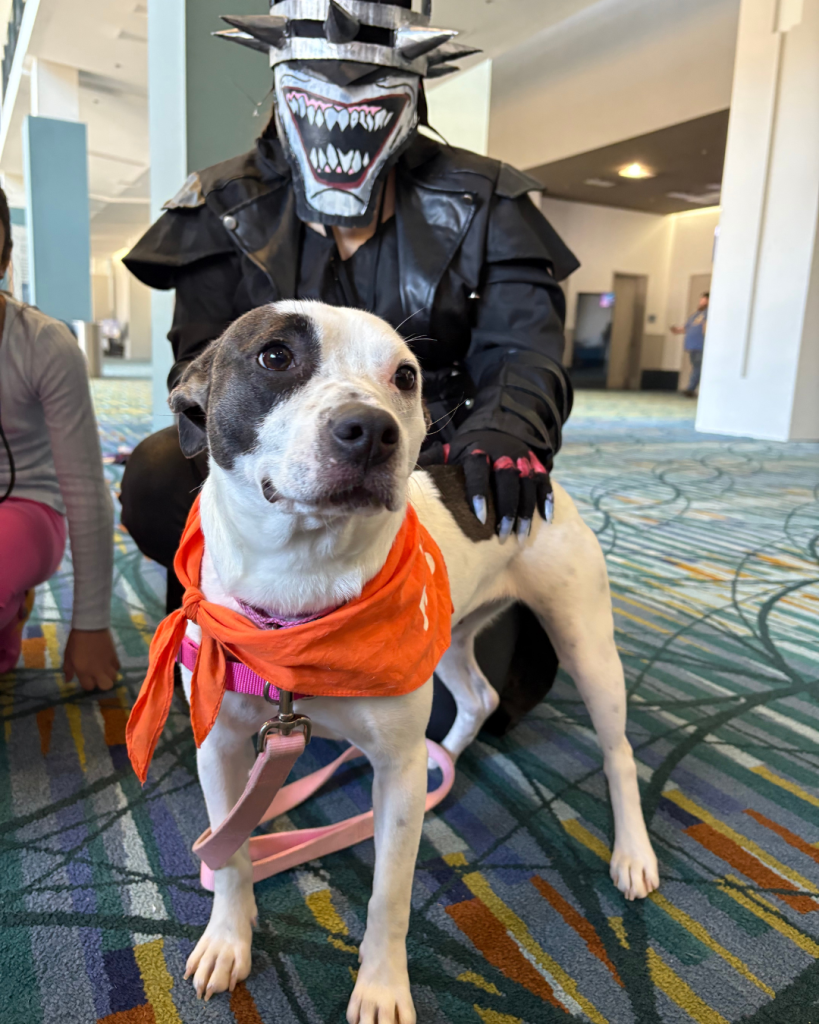 We Were Adopted: March 24 - 30, 2025 - Richmond SPCA