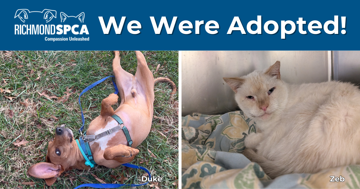 We Were Adopted: January 20 - 26, 2025 - Richmond SPCA