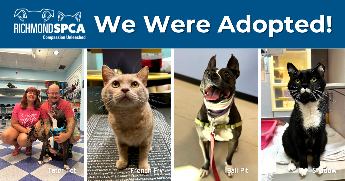 We Were Adopted: August 25 - 31, 2025 - Richmond SPCA