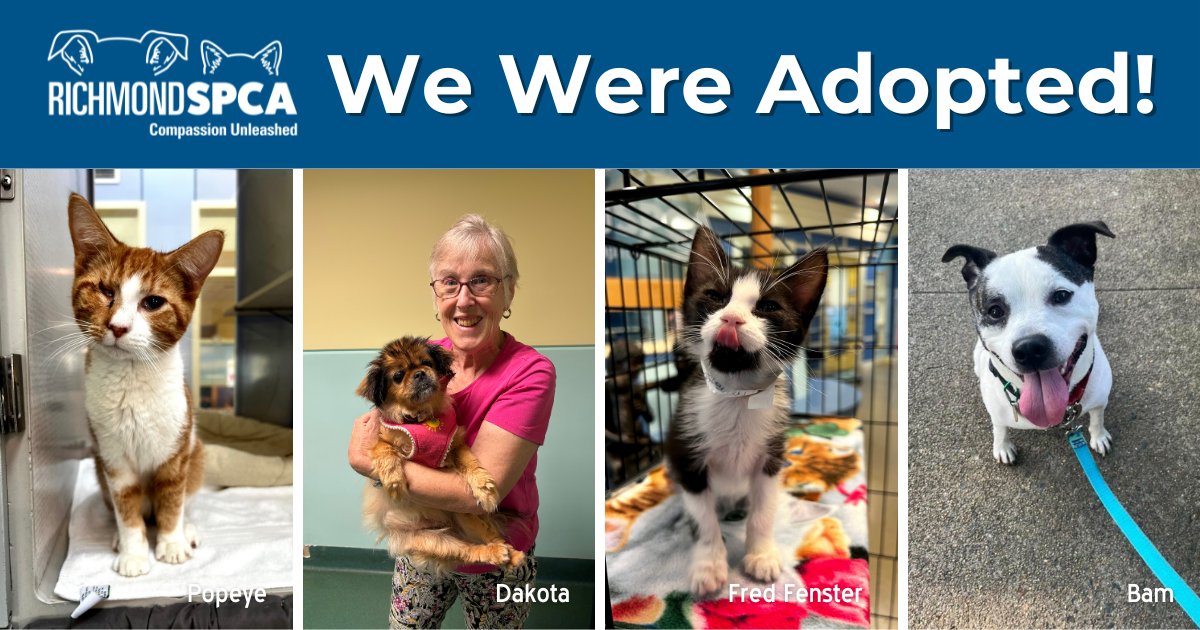We Were Adopted: September 22 - 28, 2025 - Richmond SPCA