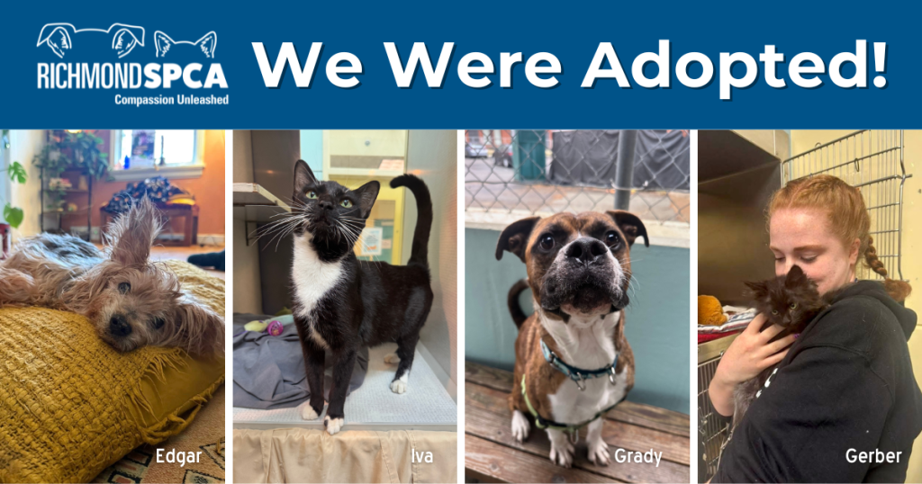 We Were Adopted: January 5 - 11, 2026 - Richmond SPCA